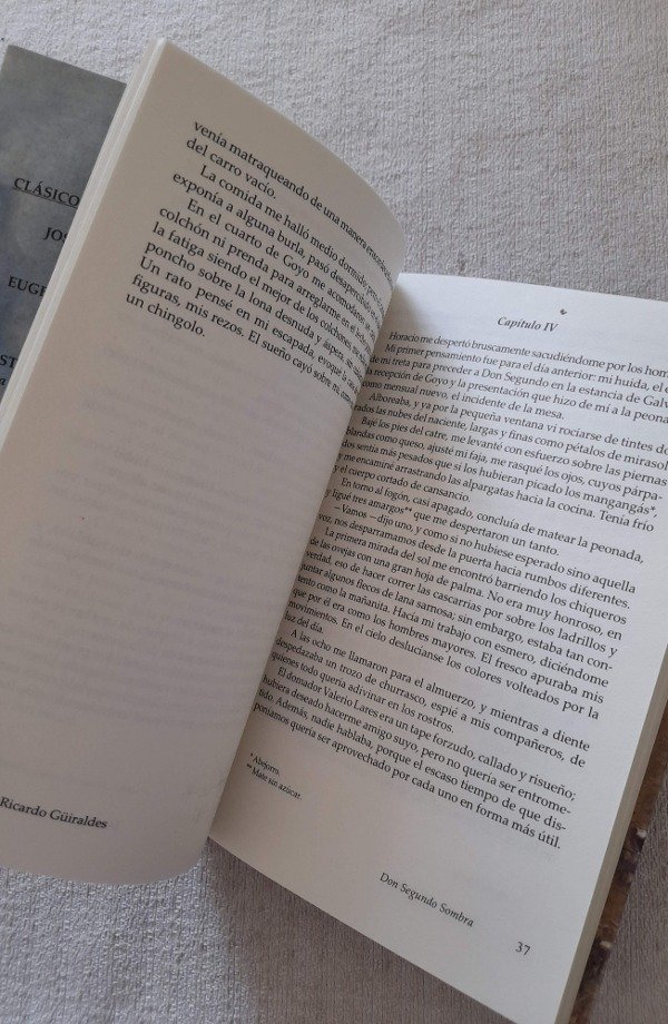 Don Segundo Sombra - Ricardo Guiraldes - Terramar Ediciones - Libros Usados Tandil