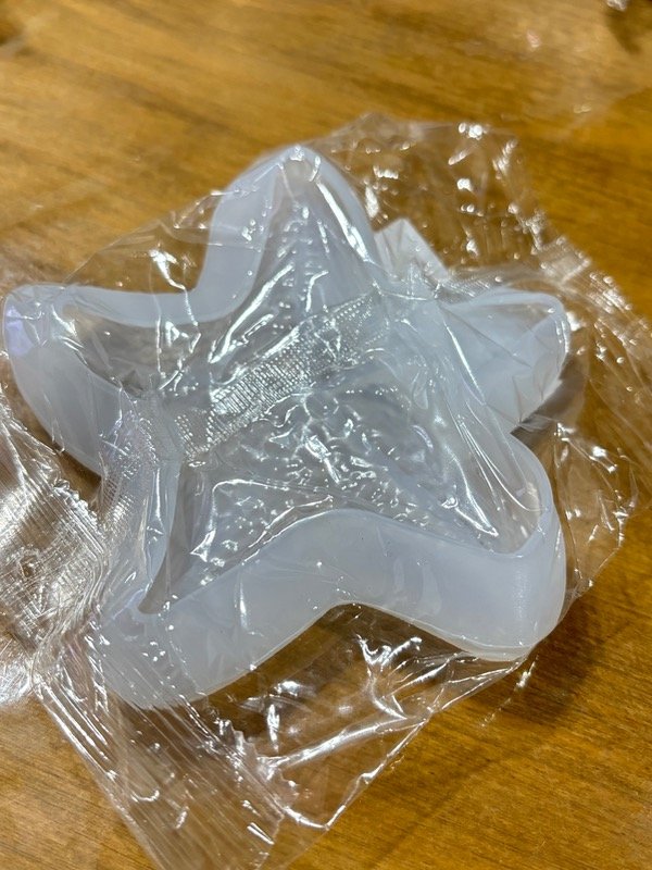 Molde estrella de mar yeso - Regalartesm