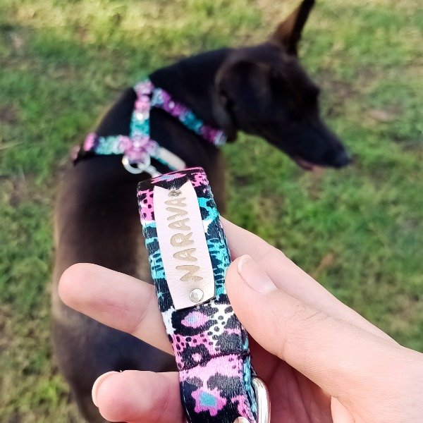 Correa Animal Print - Narava