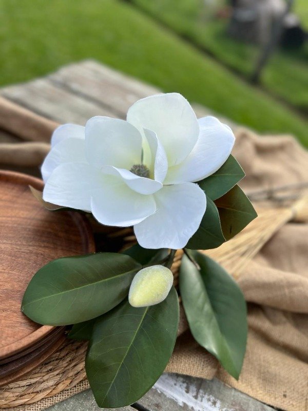 Productos - VDS Home