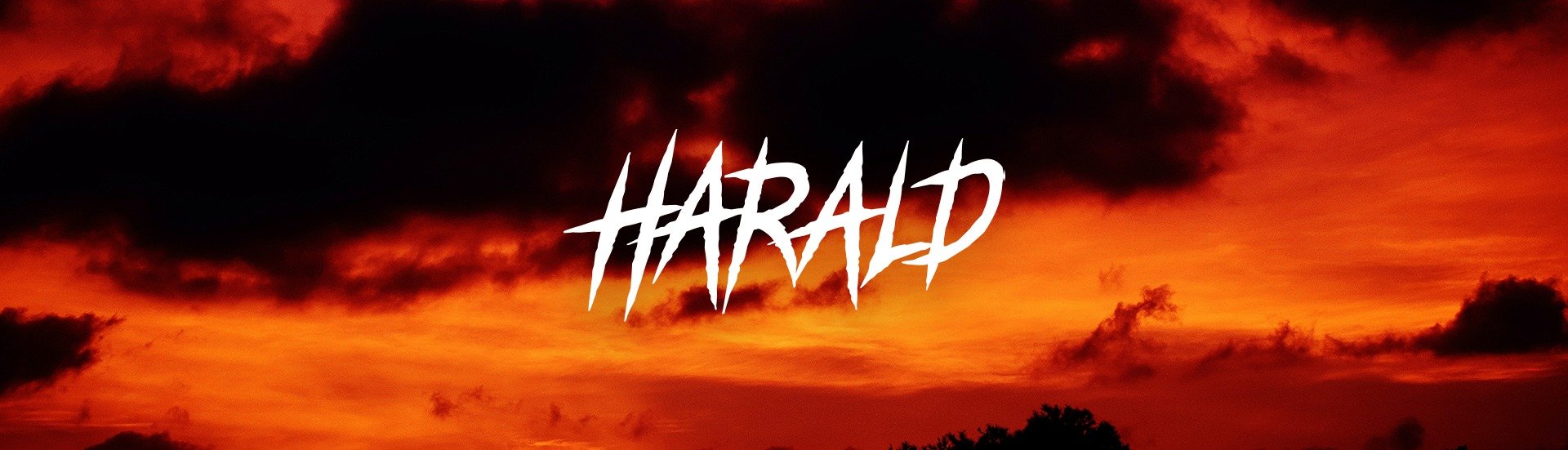 Tienda online de Harald Store